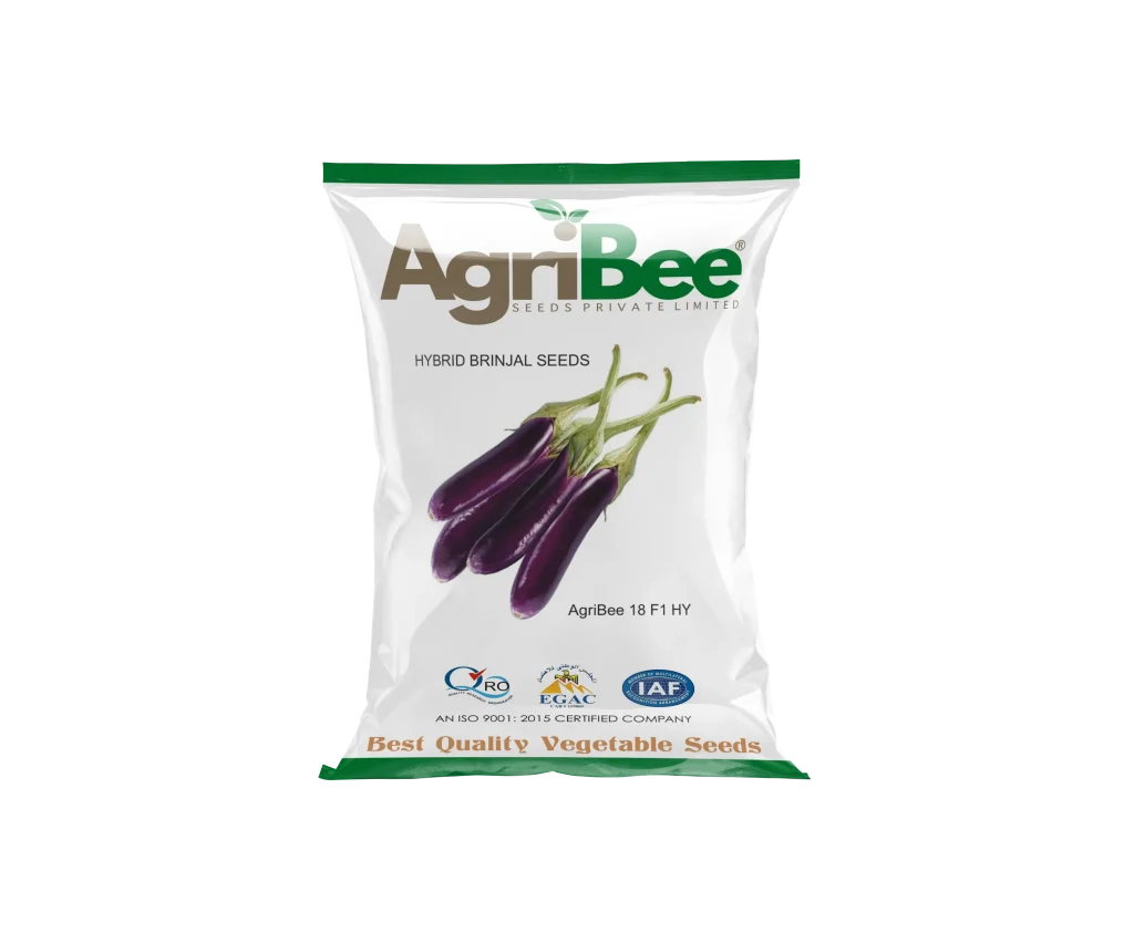 Brinjal Seeds AgriBee 18 F1 HY - AgriBee Seeds Pvt Ltd